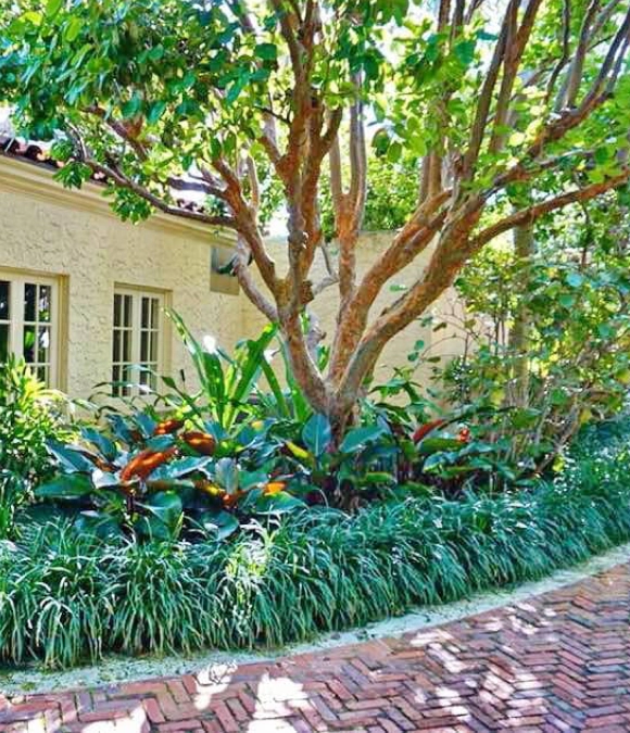 Tree Service West Palm Beach, FL | Free Estimates